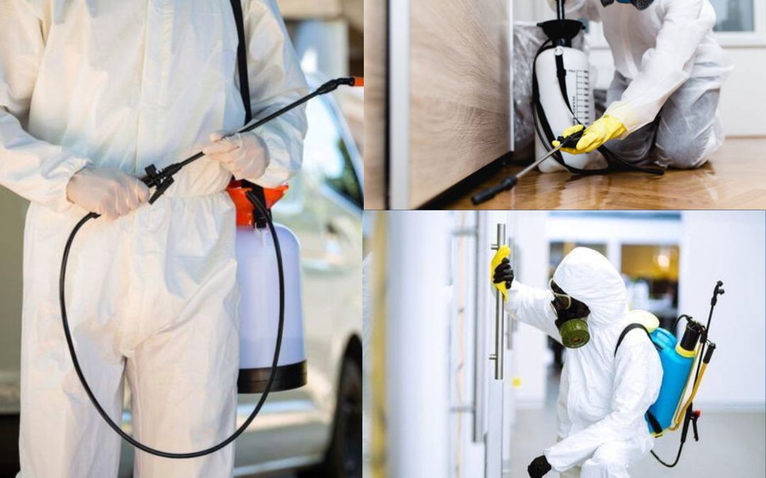 Service Categories | SLS