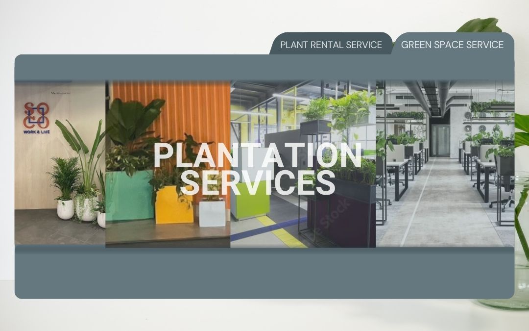 Service Categories | SLS